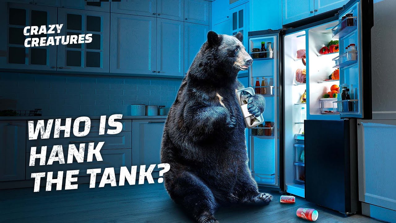What To Do When Hank the Tank Breaks Into Your Home - YouTube