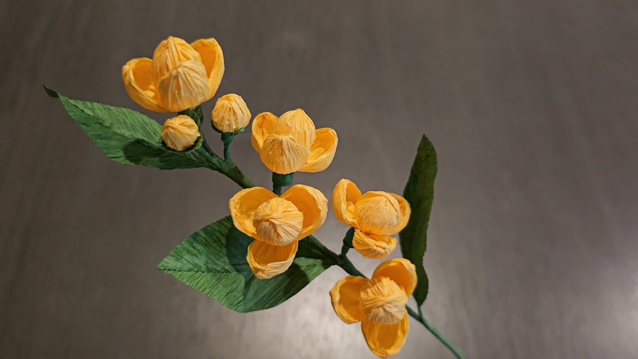 Romduol flower/ Metralla mesnyi/DIY crepe paper flower/ Nation flower ...