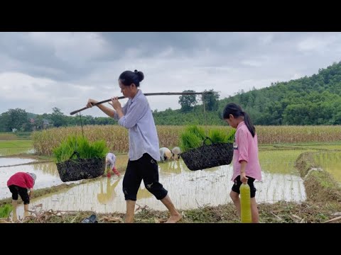 Who came to help the village chief and Ly Tieu Yen in time?