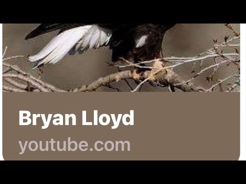 Community together for Bryan Lloyd RIP momma ️🌹 - YouTube