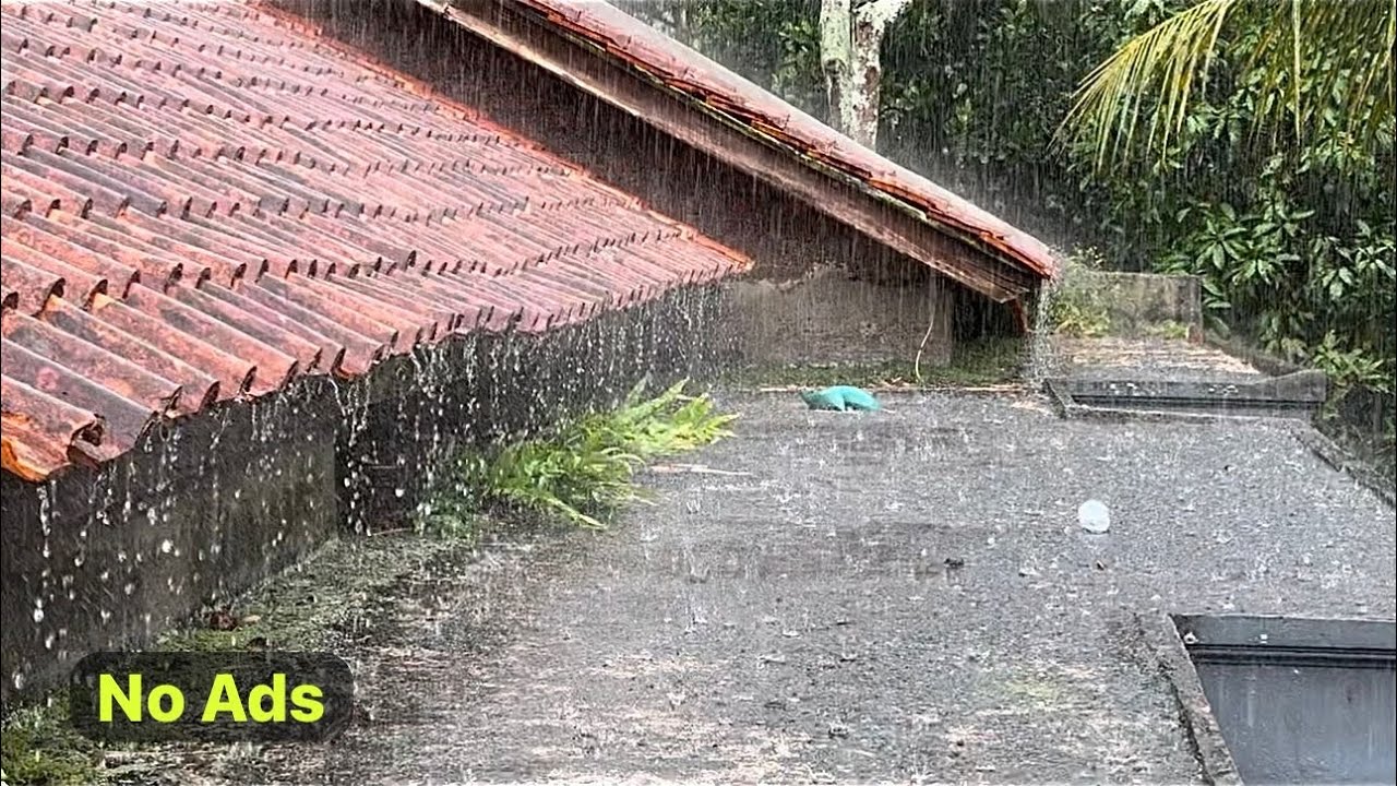 No Ads, Rain Sounds For Sleeping😴 Goodbye Insomnia with the sound of ...