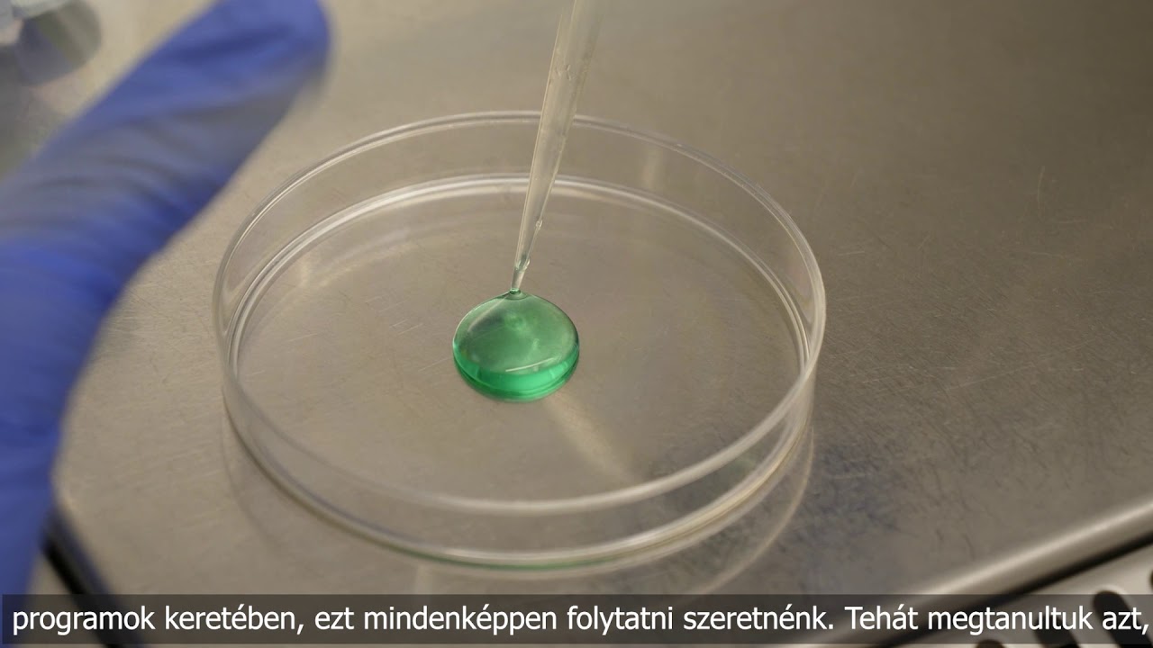 Közel ötven éve: Béres - YouTube