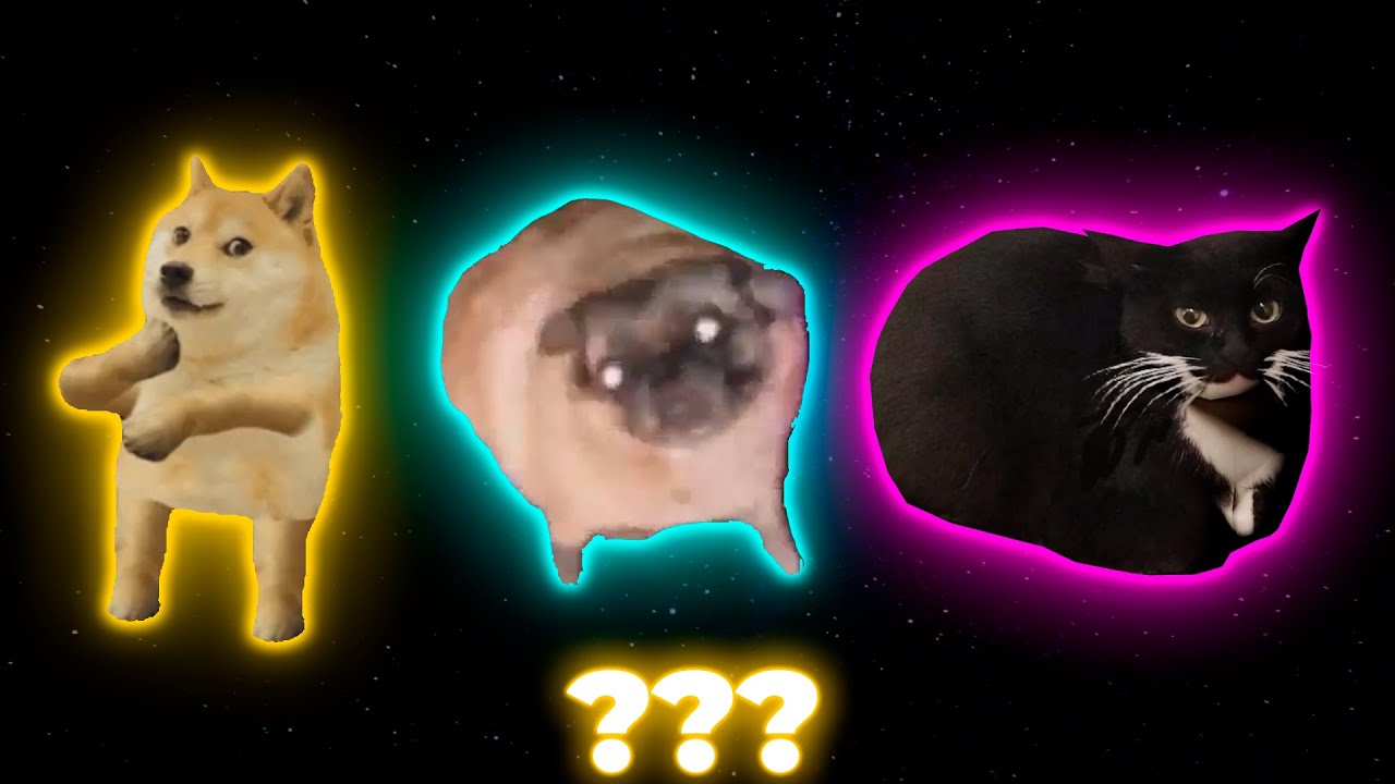 "Maxwell The Cat and Pug and Doge Dancing" Sound Variations in 30 ...