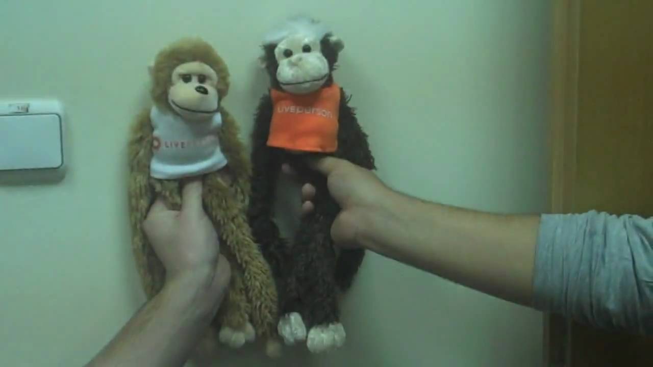 Koko Kofico at work - YouTube