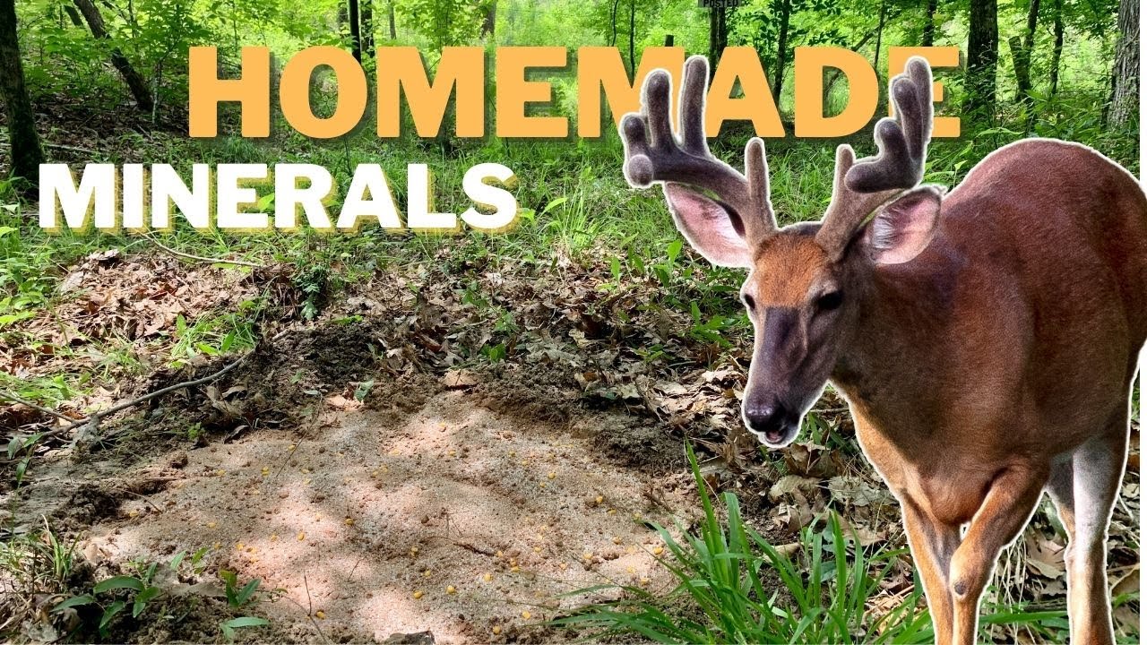 Homemade Secret Deer Mineral Recipe....Big Bucks Love it!! - YouTube