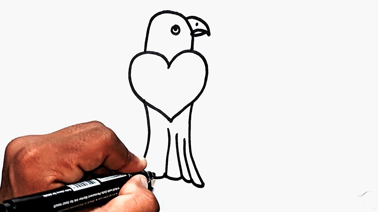 How To Draw A Parrot From Heart | How To Draw A Bird Easy Step By Step ...