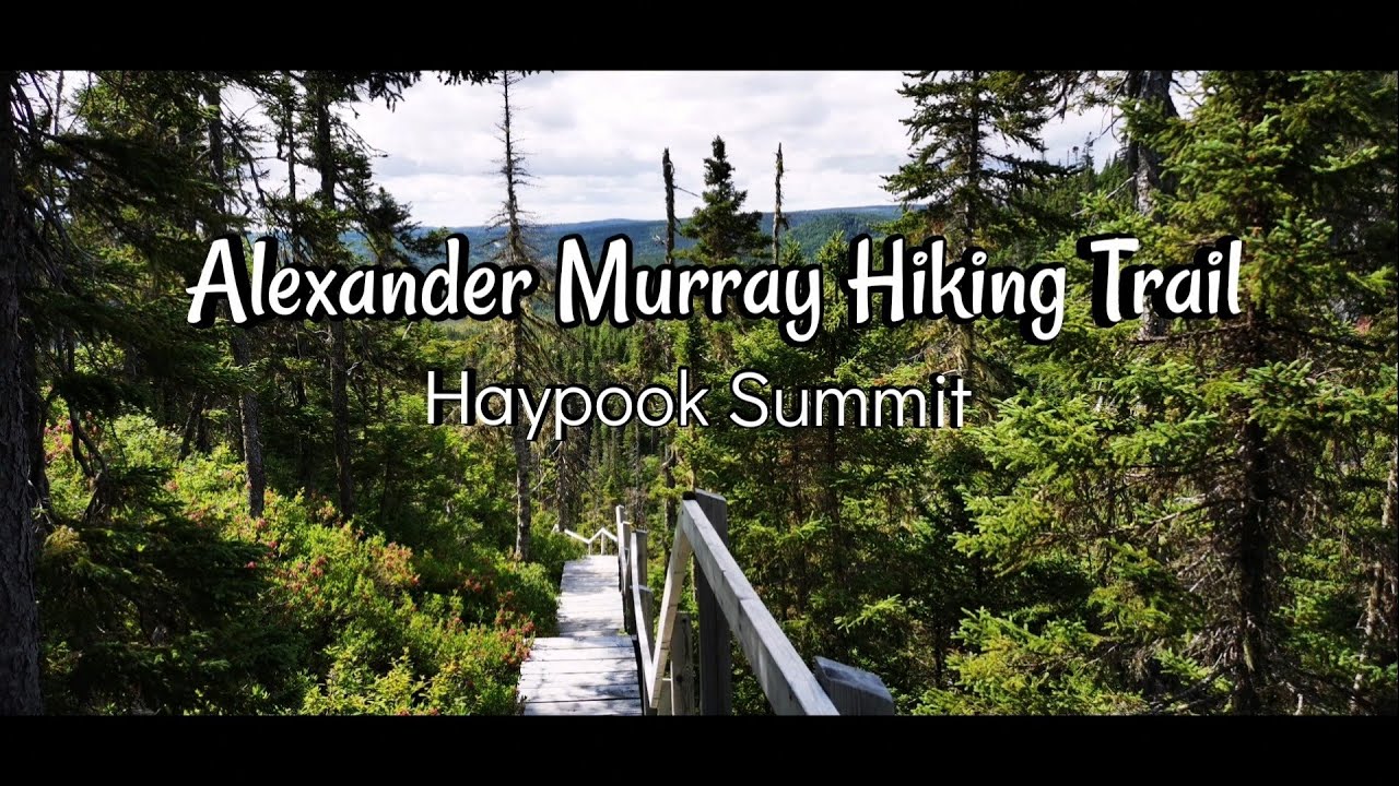 Alexander Murray Hiking Trail King's Point, Newfoundland and Labrador ...