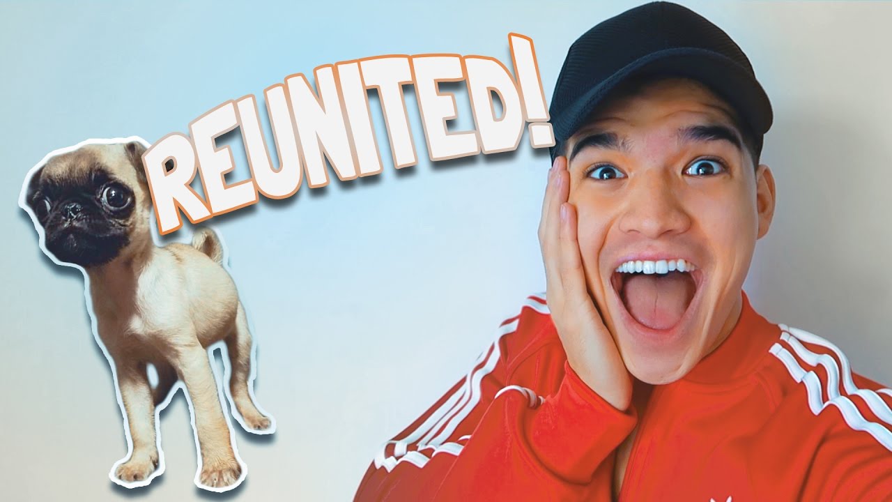REUNITED WITH GUPPY THE PUPPY!! - YouTube