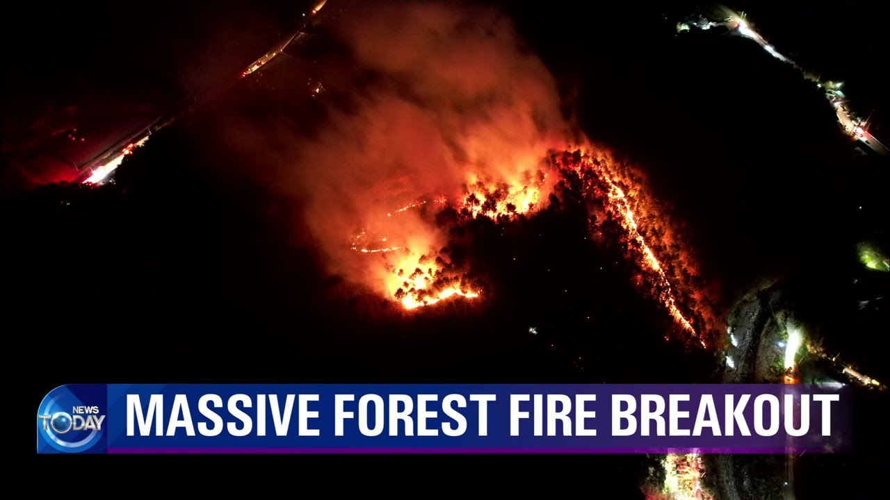 MASSIVE FOREST FIRE BREAKOUT (News Today) l KBS WORLD TV 211115 - YouTube