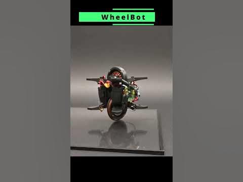 Self balancing Unicycle Robot - YouTube
