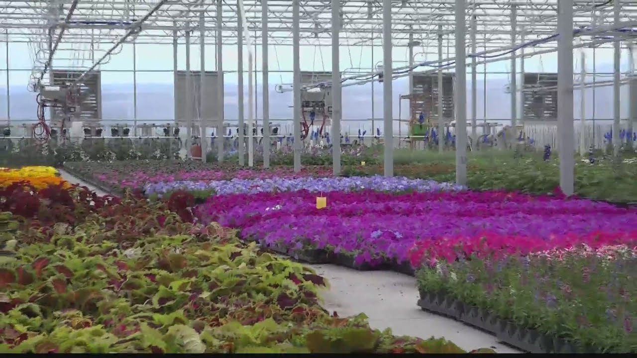 Win Gardens: A new state-of-the-art greenhouse in Fruita. - YouTube