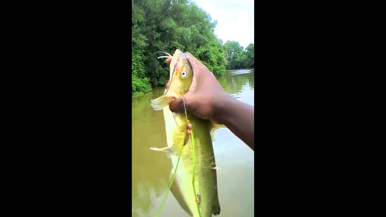 River fishing #02- worm fishing for big sheepshead, channel catfish ...