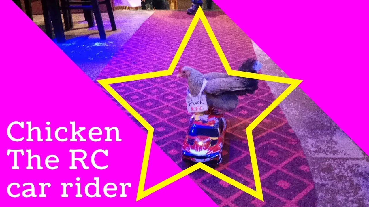 Chicken riding an RC car [funny side of Vietnam] - YouTube