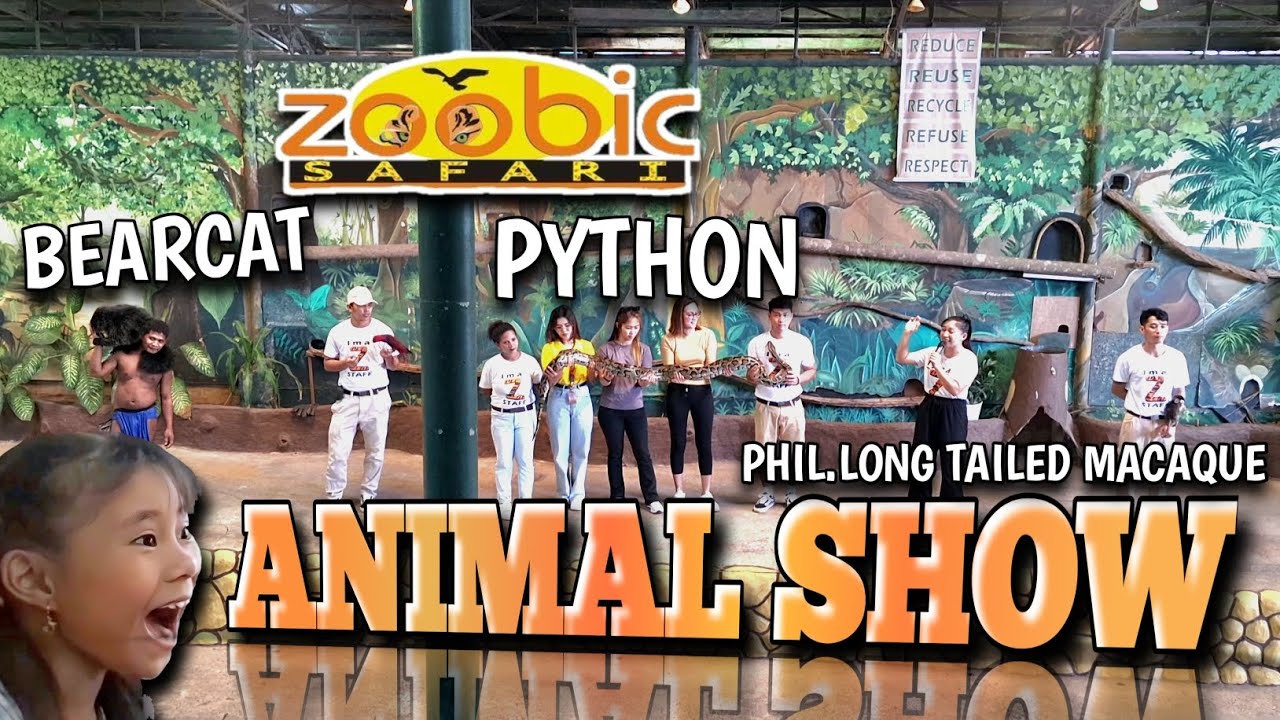 ANIMAL SHOW AT ZOOBIC SAFARI FIELDTRIP 2024 #karzymikatv #zoobicsafari ...