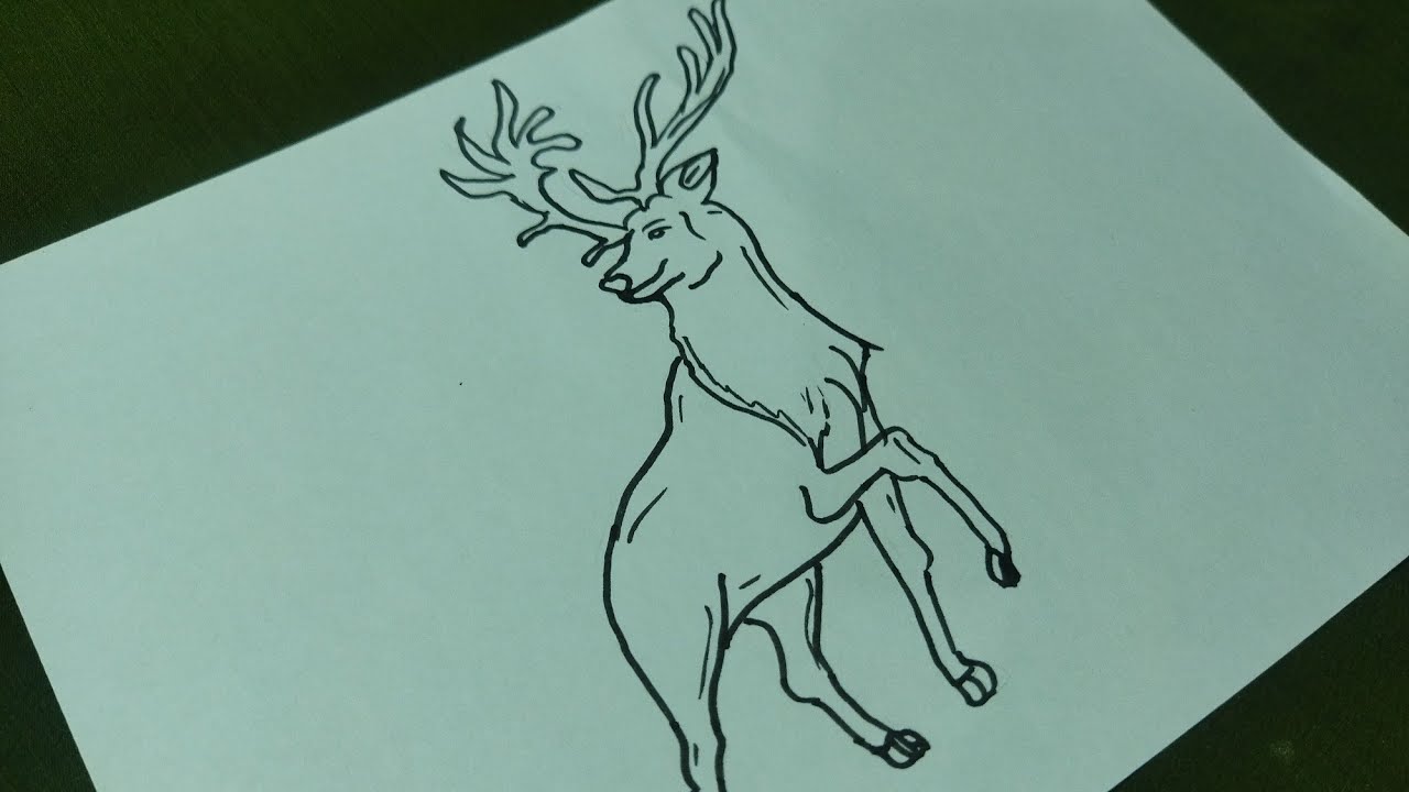 Dear | Simple dear drawing | how to draw a dear | easy way to draw a dear | Hari Arts | dear ...