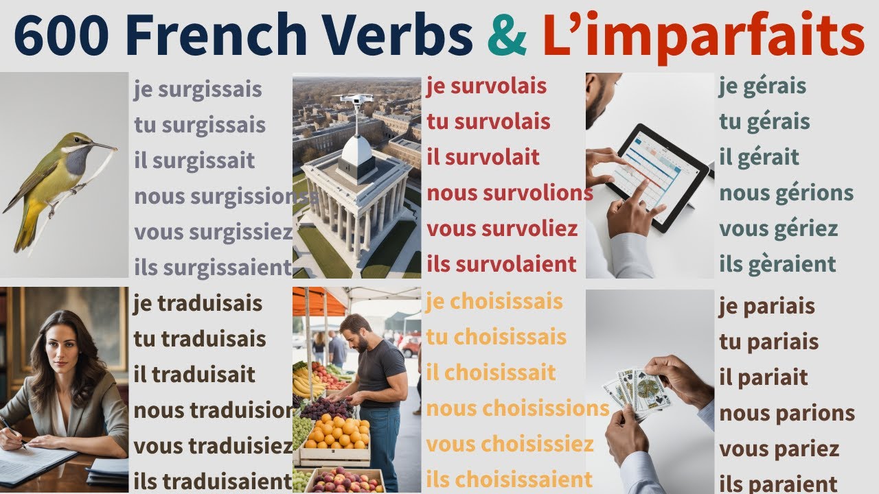 600 French Verbs conjugations & daily Sentence Examples & pictures ...