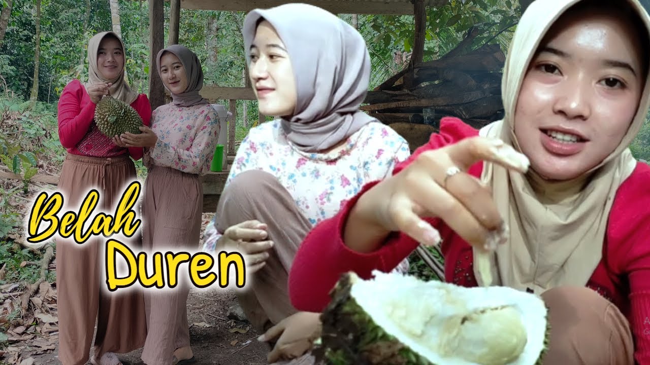 Enaknya Belah Duren Bareng Gadis Desa Cantik Di Kebun Neng Egis Dan