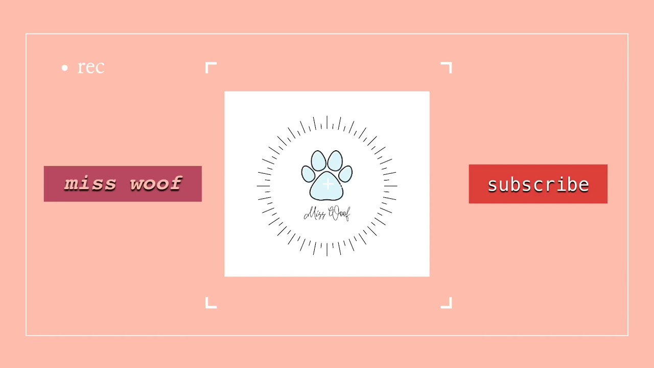 WELCOME TO MY CHANNEL ( Miss Woof ) - YouTube