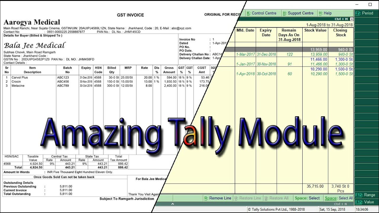 A Complete Tally TDL Module for Pharmacy & Chemicals Business || Tally ...