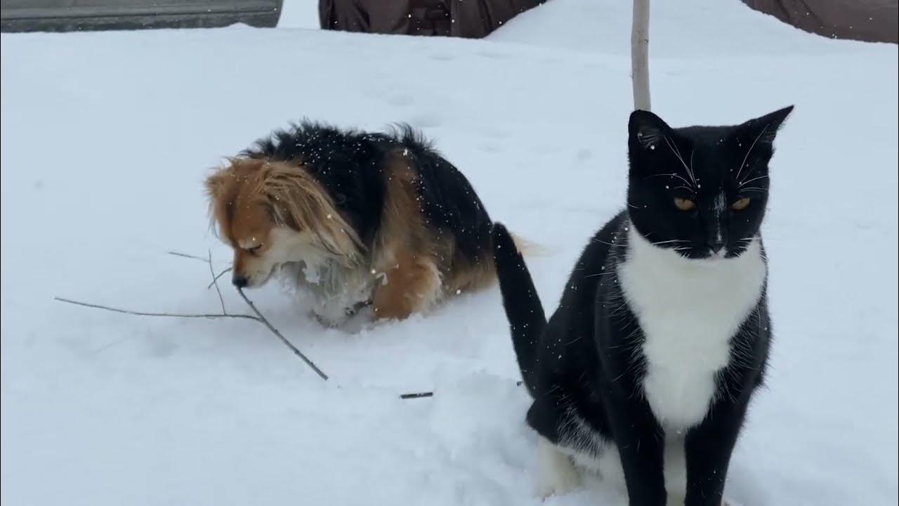 Sunday Snow Day - YouTube