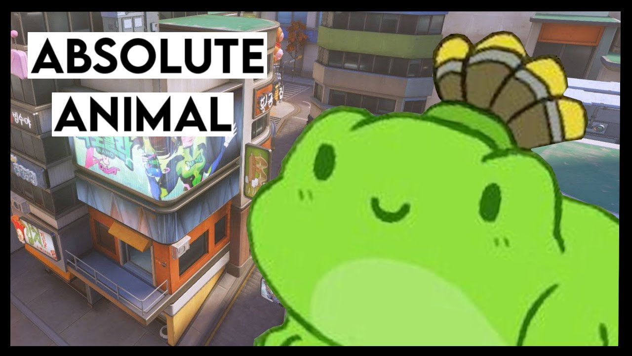 Absolute Animal - YouTube