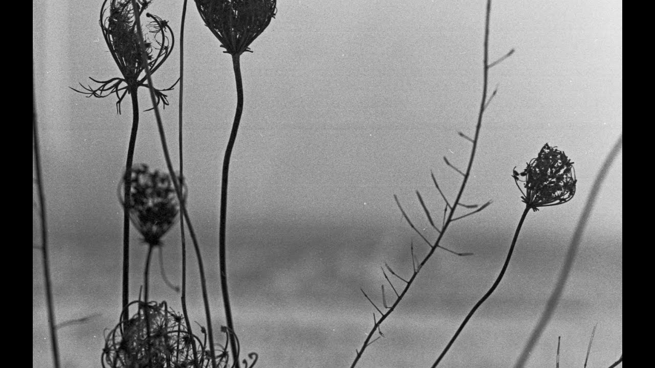 Recondite / Pages - YouTube