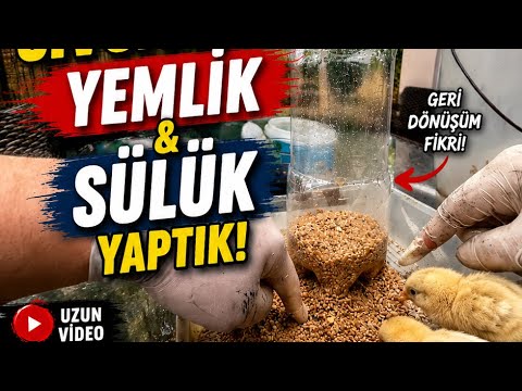  EVDE 5 DAKİKADA CİVCİVLERE YEMLİK VE SULUK YAPTIM! | UCUZ, KOLAY, PRATİK 🐥