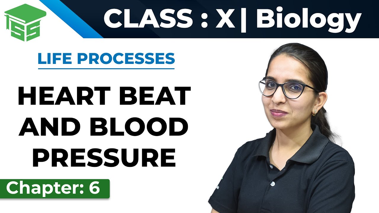 Class 10 Science | Biology | Chapter - 6 | Life Processes - Heart Beat ...