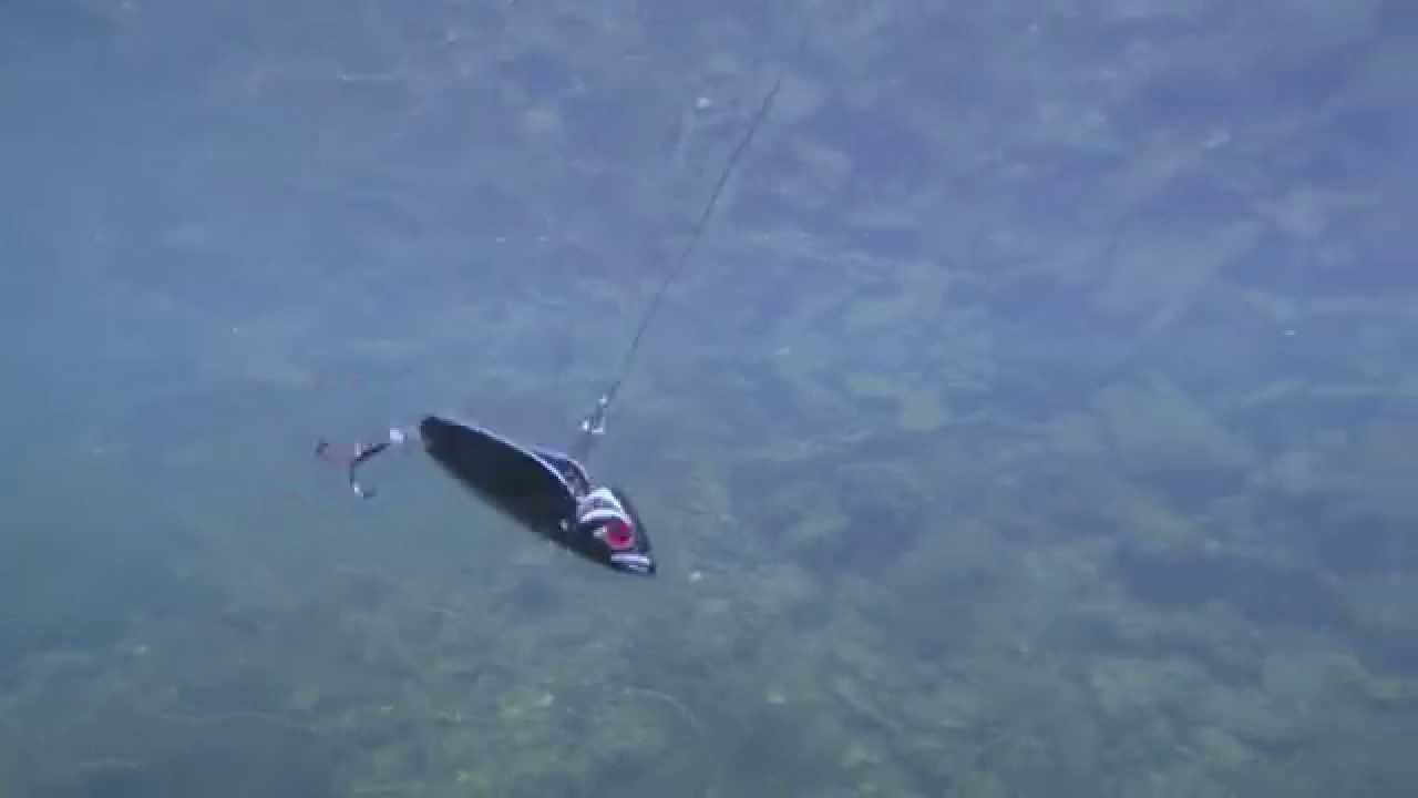 BITE BOOSTER Trolling Plus - YouTube