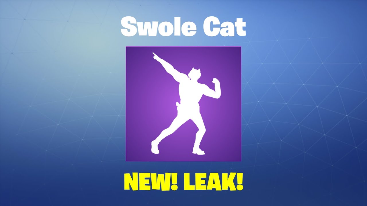 Swole Cat | Leak | Fortnite Emote - YouTube