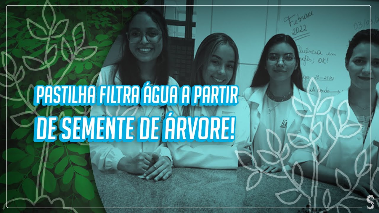 Semente de Moringa que virou filtro! - YouTube
