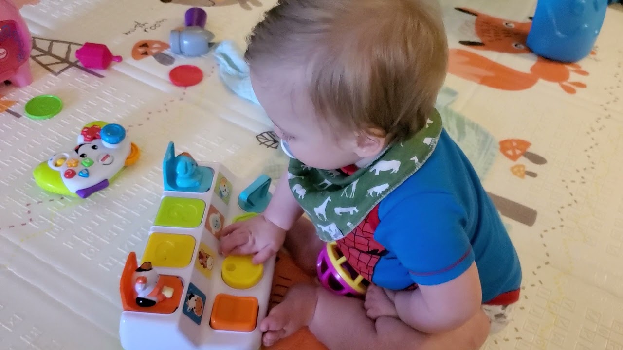 Teddy playing - YouTube