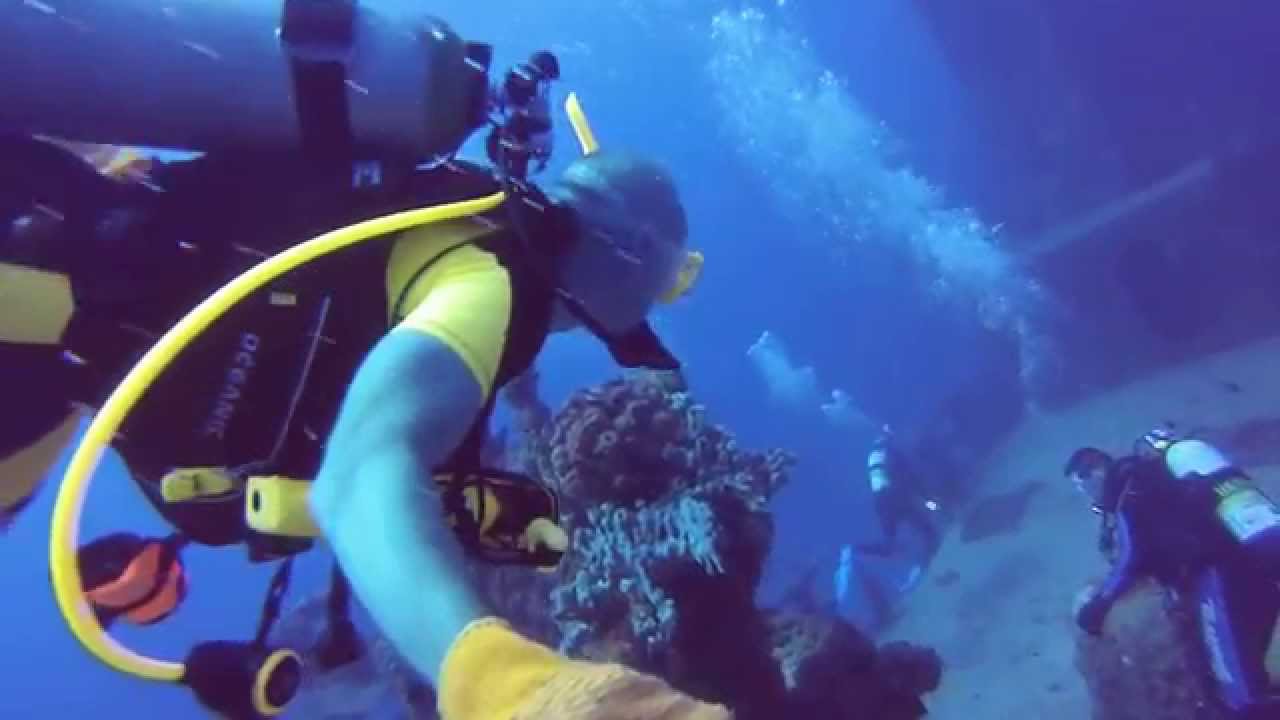 Sea Dwellers Dive Center of Key Largo dives the USCG Cutter Duane - YouTube