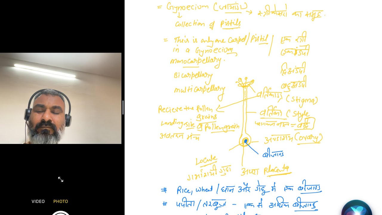 Gynoecium of flower, structure and function - YouTube