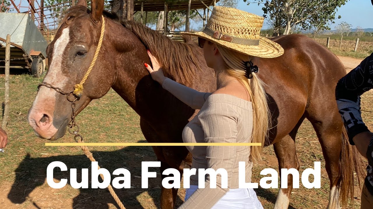 Cuba Farm Land Horse Ride Part 2 (2020) cuba vlog - YouTube