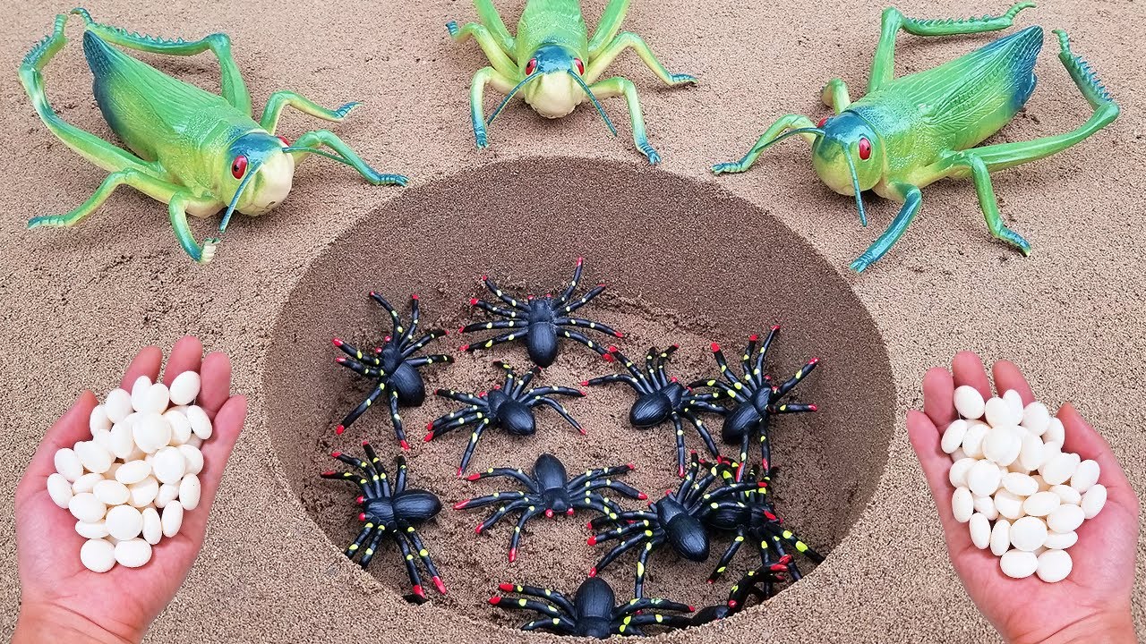 Mentos VS Coca Cola, Sprite, Monster, Fanta, different Toy insect and ...