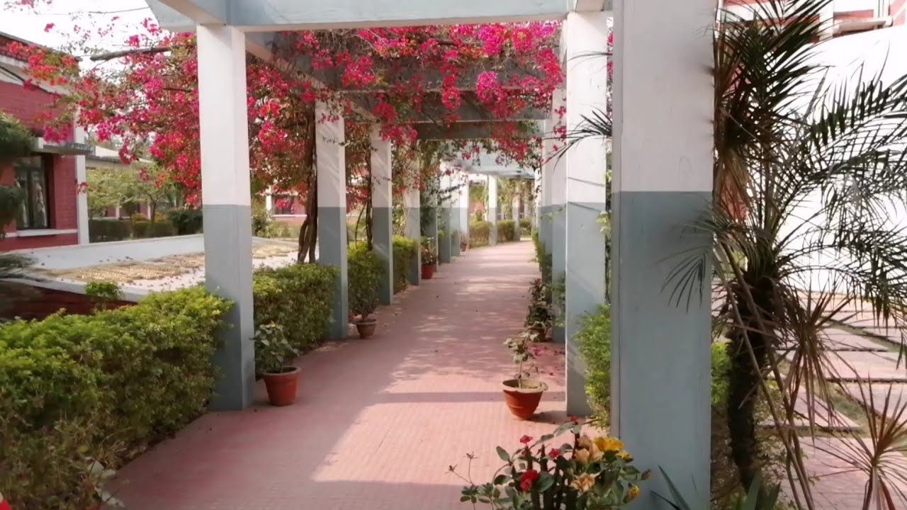 Manmohan Memorial Polytechnic(मनमोहन स्मृति पोलिटेक्निक) / Manmohan ...