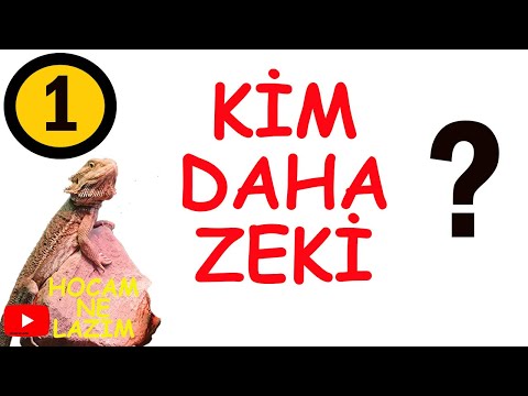 #bilsem, #bilsem2024, #zeka, #genel, #görsel, #bilsemsınavı, #kim daha zeki, #who is smarter, #meb
