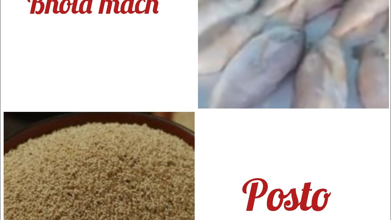 Shorshe posto diye Bhola macher recipe || New recipe of Bhola mach ...