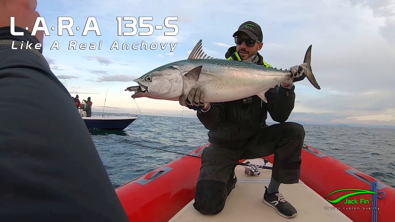 Fishing with LARA - Monster False Albacore feeding frenzy - YouTube