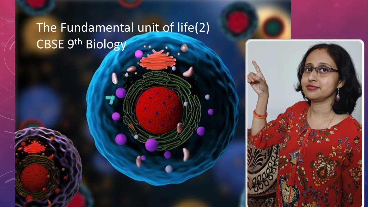 What is cell made up of? What is the structural organization of a cell ...