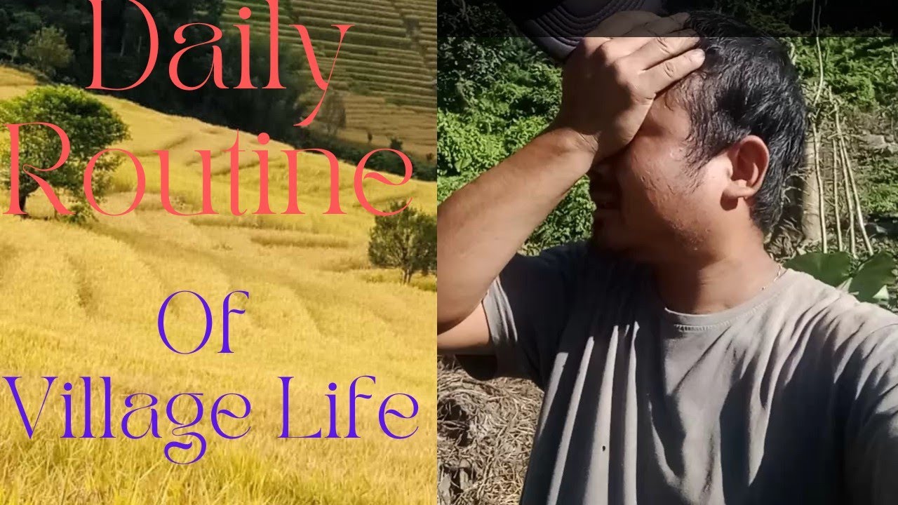 My Daily Routine 😁 !!Village Life Blog (Episode 9) Kijohn Official ...