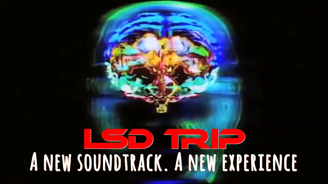 LSD TRIP NEW SONG NEW EXPERIENCE (MUSIC VIDEO) - YouTube