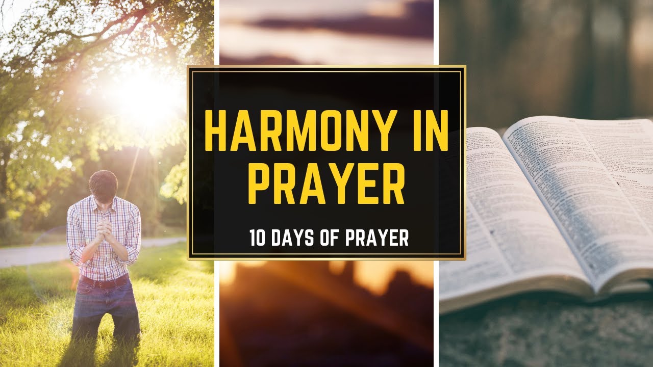 Harmony in Prayer: Reflecting on the Transformative 10 Days Together ...