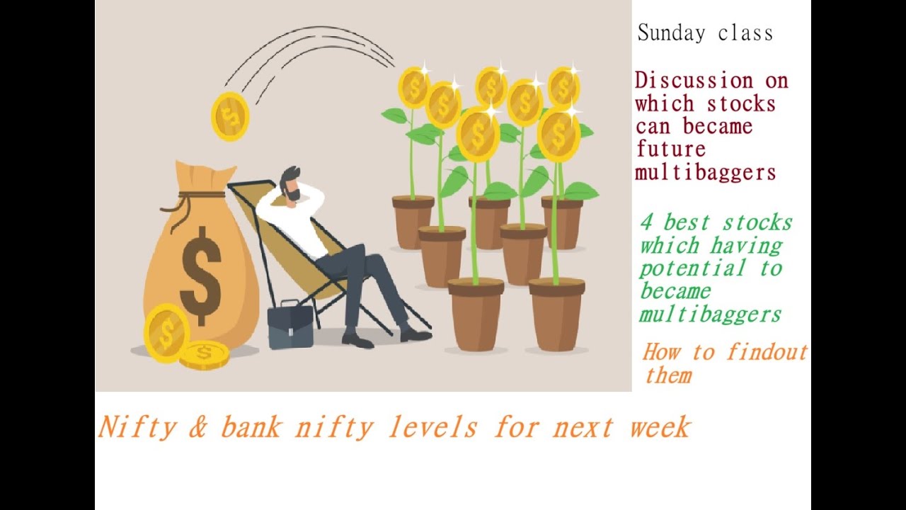 Learn how to find-out a multibagger stock / 4 potential multibagger ...