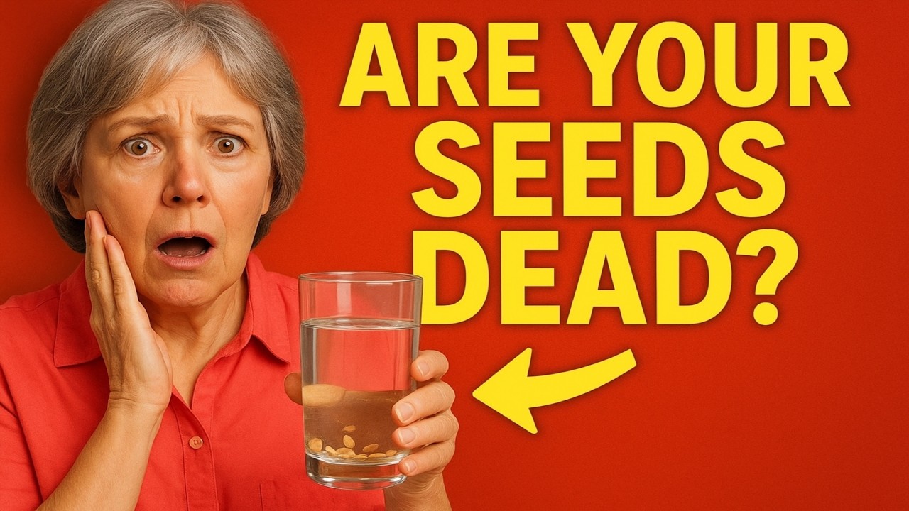Are your seeds dead? Discover the simple, one-minute secret to checking ...