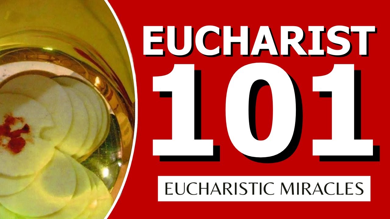 Eucharistic Miracles that CHANGED My Life - Eucharist 101 - A Journey Through the Sacrament ...