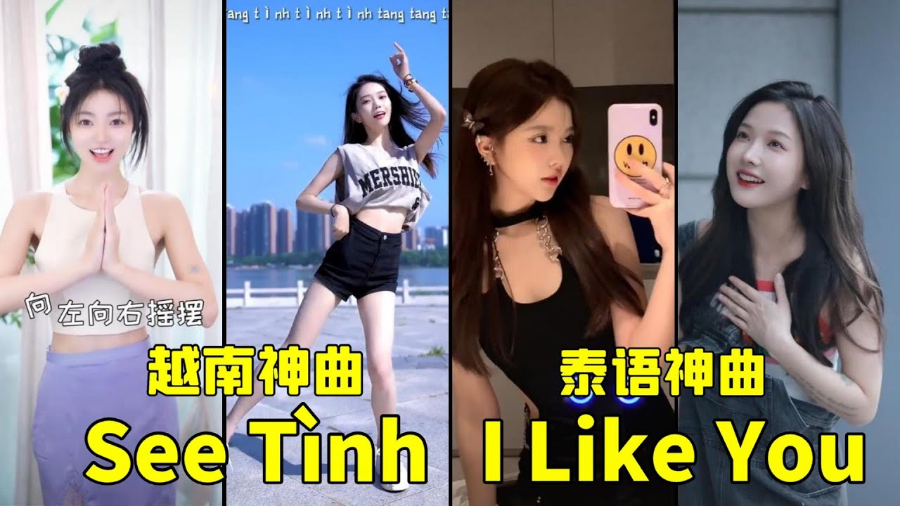 小三金的叮叮当当舞居然把舞蹈区所有网红杀疯了?!火遍全网的越南神曲《see Tình》 叮叮当当舞bgm火爆全网 Youtube