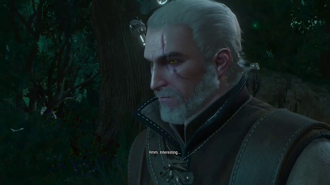 The Witcher 3: Wild Hunt Cutscenes Part 59 - YouTube