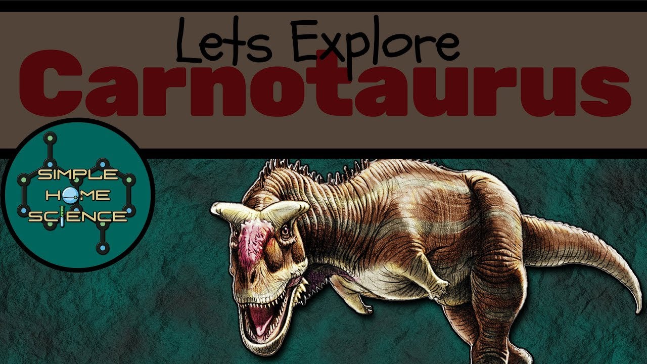 Carnotaurus Facts For Kids - The Meat Eating Bull - YouTube
